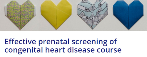 Effective Prenatal Screening of Congenital Heart Disease
