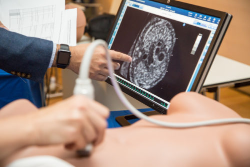 Basic Training Course on Gynecology, Rotterdam