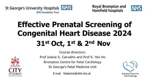 Effective Prenatal Screening of Congenital Heart Disease 2024