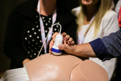 ISUOG Basic Training – UES Ultrasonography Course