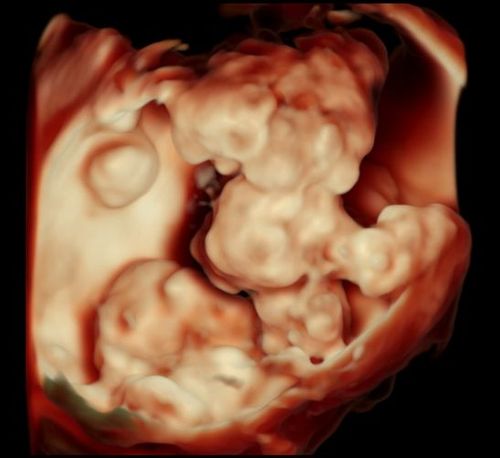 October 2025 UOG Highlights