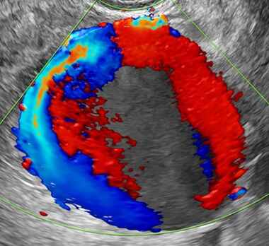 April 2023 UOG Highlights