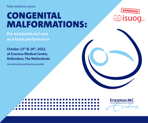 Congenital malformations: pre- and postnatal care as a team performance