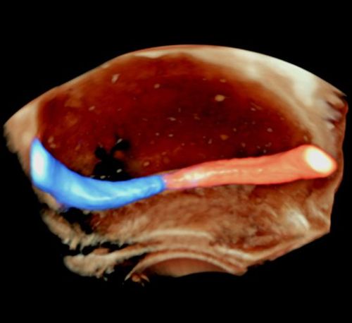 August 2025 UOG Highlights