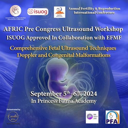 Comprehensive Fetal Ultrasound Techniques: AFRIC Precongress Workshop