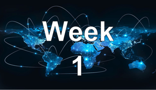 ISUOG BT Flex: Basic Training's Basics of Scanning