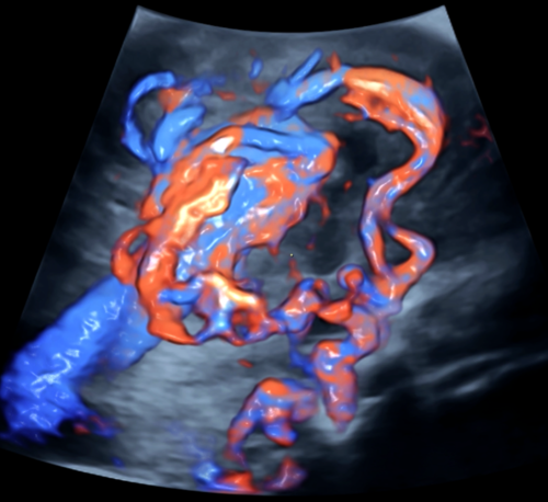 August 2020 UOG Highlights